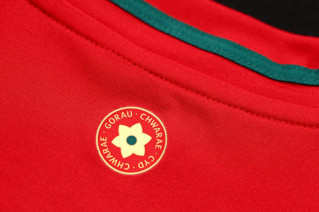 The profile of a Cymru Head Coach - FAW